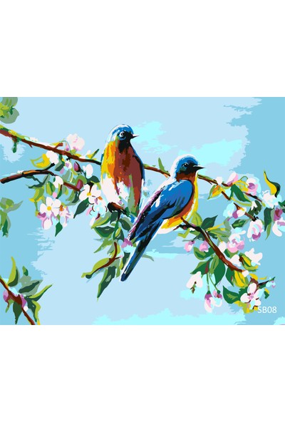 Plus Hobby SB08 Çiftli Kuş Sayılarla Boyama Seti 40 x 50 cm