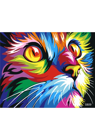 Plus Hobby SB09 Kedi Figurü Sayılarla Boyama Seti 40 x 50 cm