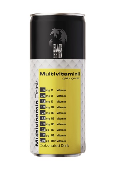 Black Bruin Multivitamin 250 ml x 24'lü