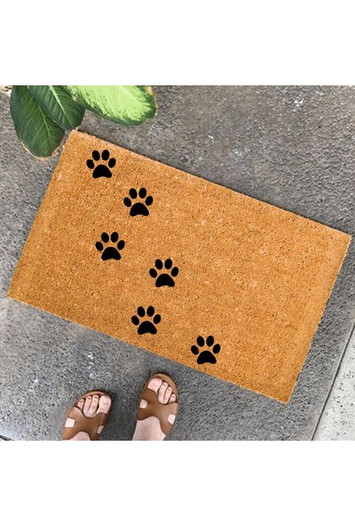 Fekarehome Pati Izi Paspas