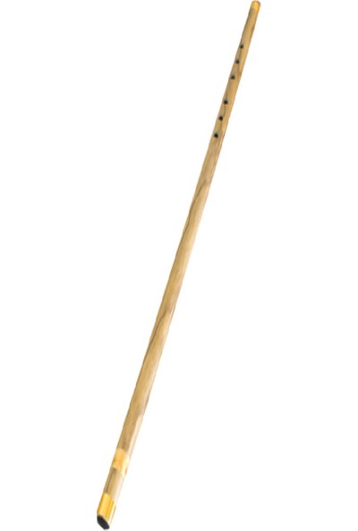 Arya Plastik Ney Re Başpareli Profesyonel