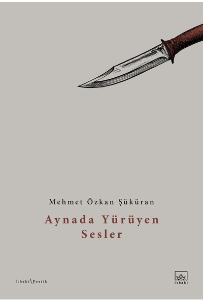 Aynada Yürüyen Sesler - Mehmet Özkan Şüküran