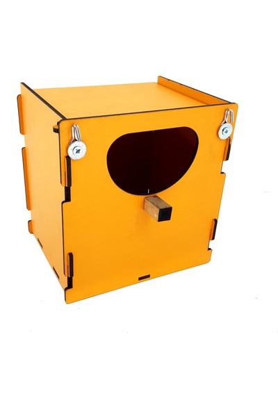 Hadihediye Bengal Ispinoz Yuvalığı 14 x 12 x 11 cm