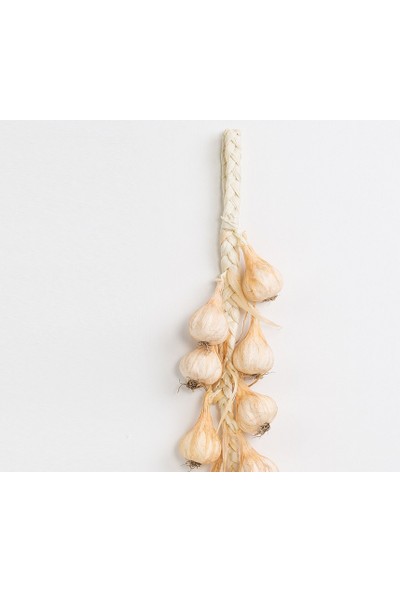 Madame Coco Dekoratif Sarımsak Beyaz