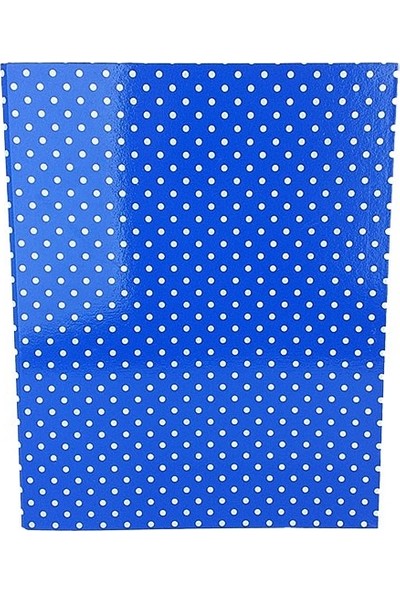 Maxx 501-1 Mavi Puanlı Klasör