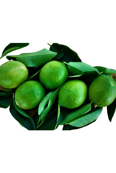 Ebahçemiz Taze Limon 12 kg Parafinsiz