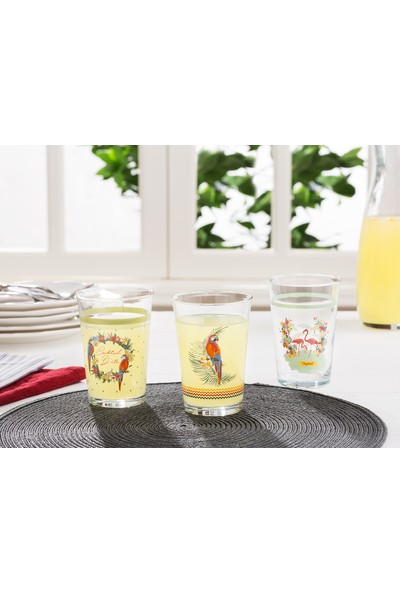 Madame Coco Tropikal 3-lü Su Bardağı Seti