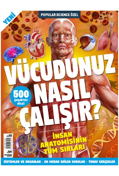Vücudunuz Nasıl Çalışır?