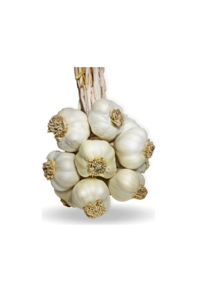 Taşköprüden Kastamonu Taşköprü Sarımsağı 1 kg Duble Boy Sarımsak