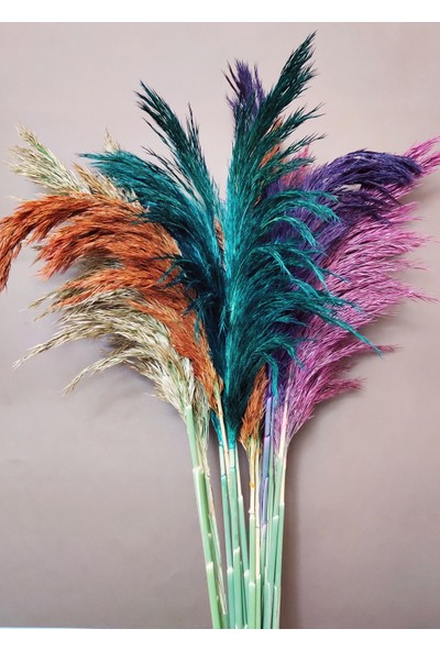Eçiçek Şoklanmış Pampas Otu 100 cm Karışık Renk