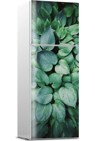 Seda Marketing Buzdolabı Folyo Sticker Ön Yüz Kaplama