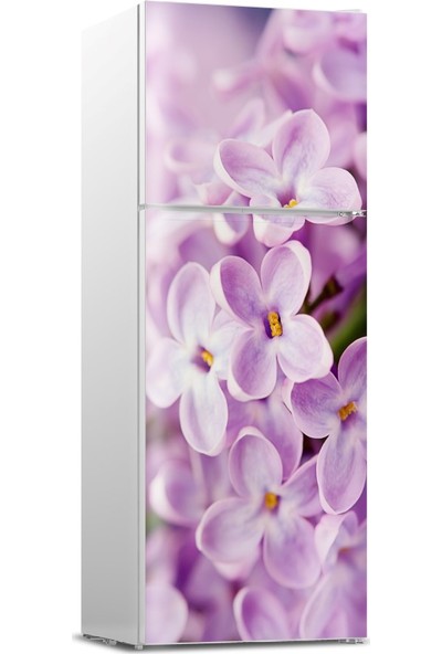 Seda Marketing Buzdolabı Folyo Sticker Ön Yüz Kaplama Seda Marketing Buzdolabı Folyo Sticker Ön Yüz Kaplama