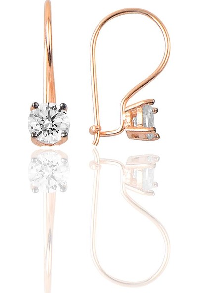 Söğütlü Si̇lver Gümüş Pılanta Modeli Çengelli Tek Taş Küpe