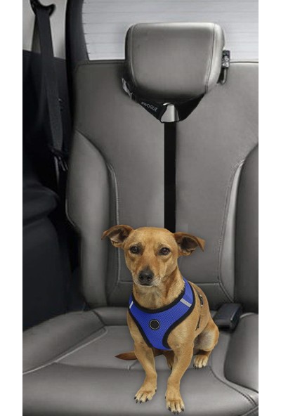 Markaflex Evcil Hayvan OtoTasması (Koltuk Başına Bağlanan Modeli) Siyah