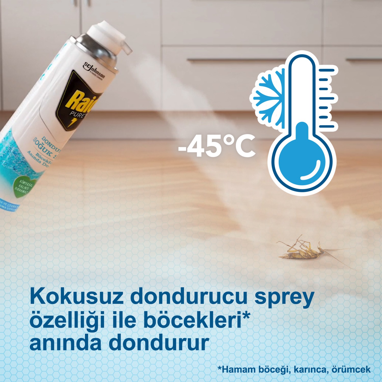 Raid Pure Böcek Dondurucu Sprey 350 ml Fiyatı - Taksit Seçenekleri