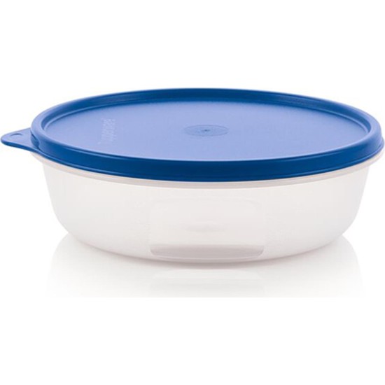 Tupperware Ss.bowl 300 ml + 630 ml + 950 ml + 1,9 lt Fiyatı