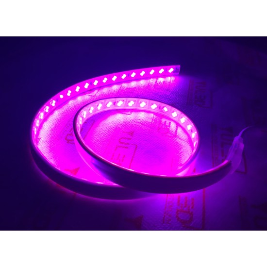 Yuled Mor İç Dış Mekan Silikonlu Şerit LED 220V-Volt Double Fiyatı