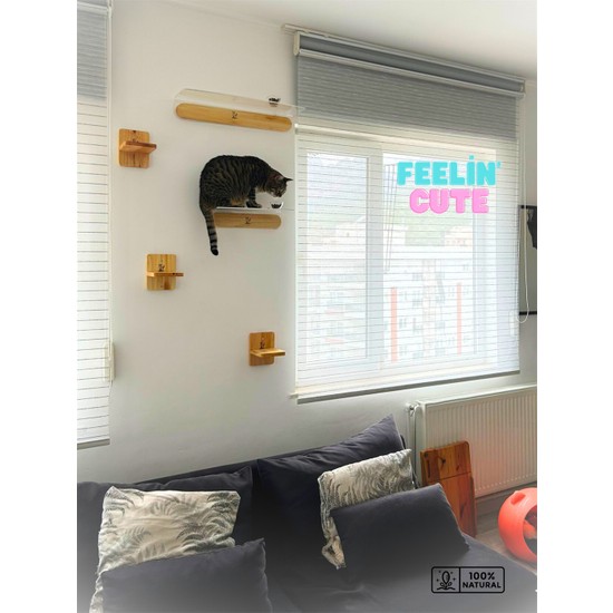 BuShop Kedi Evi, Kedi Parkuru, Kedi Yatağı, Kedi Duvar Evi, Fiyatı