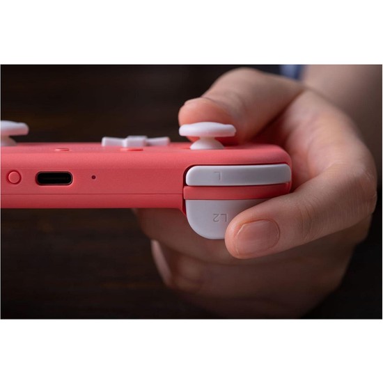 8bitdo Lite 2 Bluetooth Gamepad Switch Switch Lite Android Fiyatı