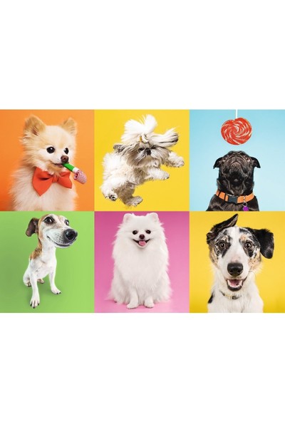 Art Puzzle Dogs - 500 Parça