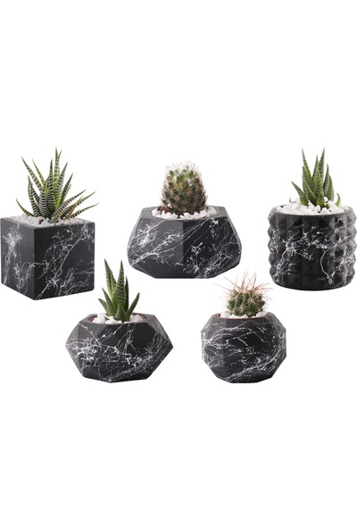 Met Beton Saksı Kaktüs Ve Sukulent 5'Li Siyah Beyaz Saksı Seti
