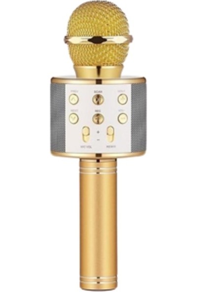 Sunix WS-858 Karaoke Mikrofon - Gold