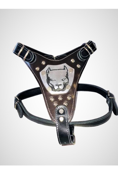 Pacopet Gladyatör Ayarlanabilir Büyük Irk Köpek Tasması Koyu Kahve