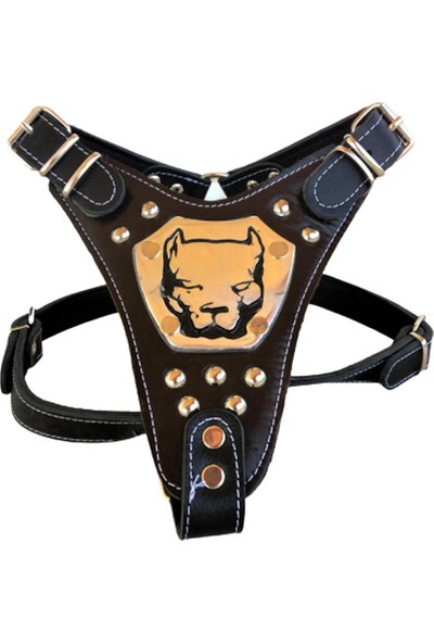Pacopet Gladyatör Ayarlanabilir Büyük Irk Köpek Tasması Siyah