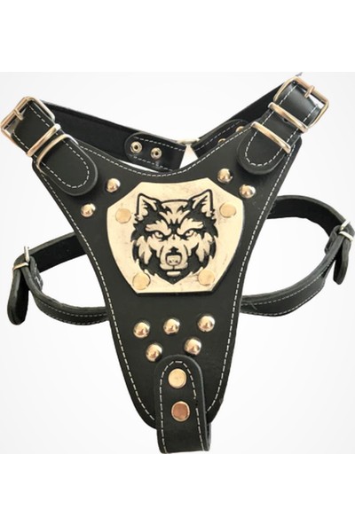 Pacopet Gladyatör Kurt Desenli Ayarlanabilir Büyük Irk Köpek Tasması Siyah