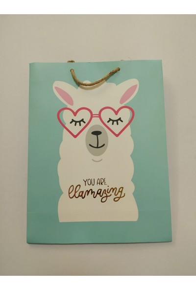 Gıpta Karton Çanta Orta Boy 230 x 100 x 300 mm Gıpta Karton Çanta Orta Boy 230 x 100 x 300 mm