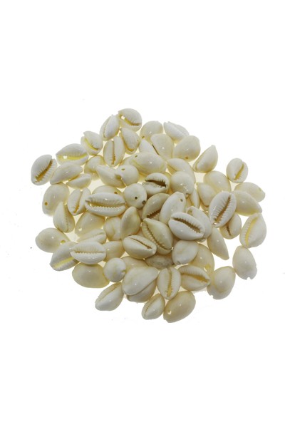 Mutlu Adım Annulus Deniz Kabuğu Delikli 100 gr