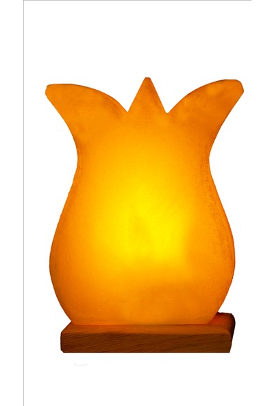 Sur Tuz Lamba Lale Biblo LED Sur Tuz Lamba Lale Biblo LED