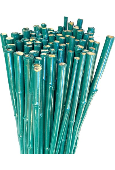 Bahçem 10'lu Bambu Üzeri Pwc Kaplı Bitki Destek Çubuğu 60 cm