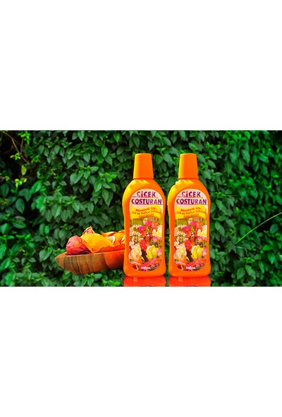 Çiçek Coşturan Mevsimlik Fide Gül ve Bahçe Bitkileri İçin 2'li