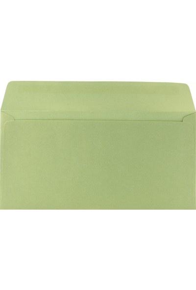 Ege Metalik Davetiye Zarfı 120 gr 11 x 22 cm 50'li Nane Altın