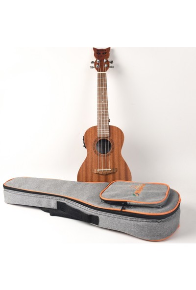 Bianca Simba24EQ Concert Ukulele - Soft Case
