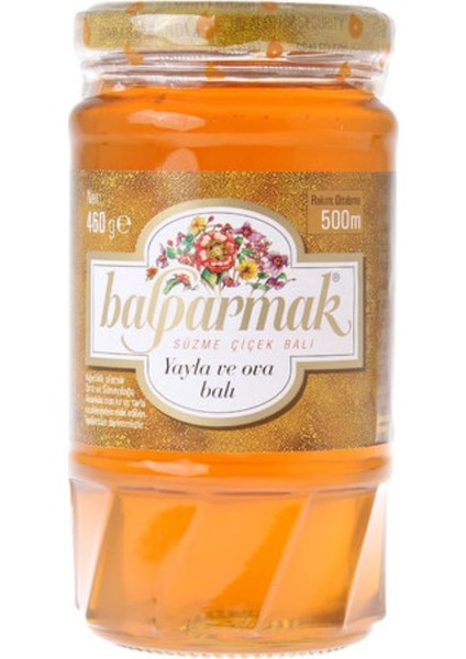 Balparmak Bal Yayla ve Ova 460 Gr Fiyatı - Taksit Seçenekleri