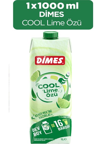 Dimes Cool Lime Dev Boy 1000 ml - OnuAl Fiyat Arşivi