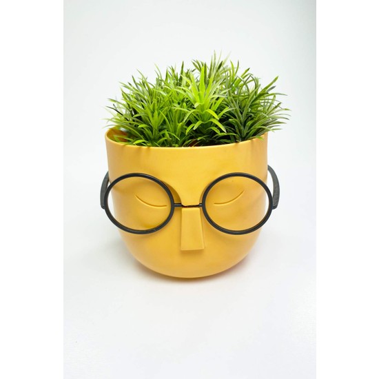 Royaleks Profesör Çim Adam Dekoratif Yapay Çiçek 10x10 Cm R4 Fiyatı