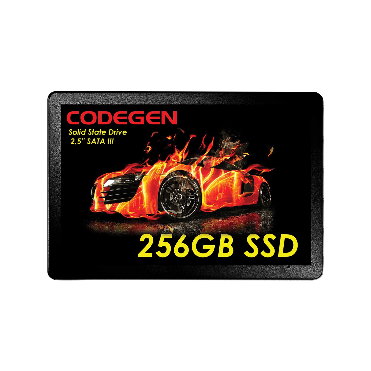 Codegen 256GB 500MB-450MB/S 2.5" Sata 3 SSD Fiyatı