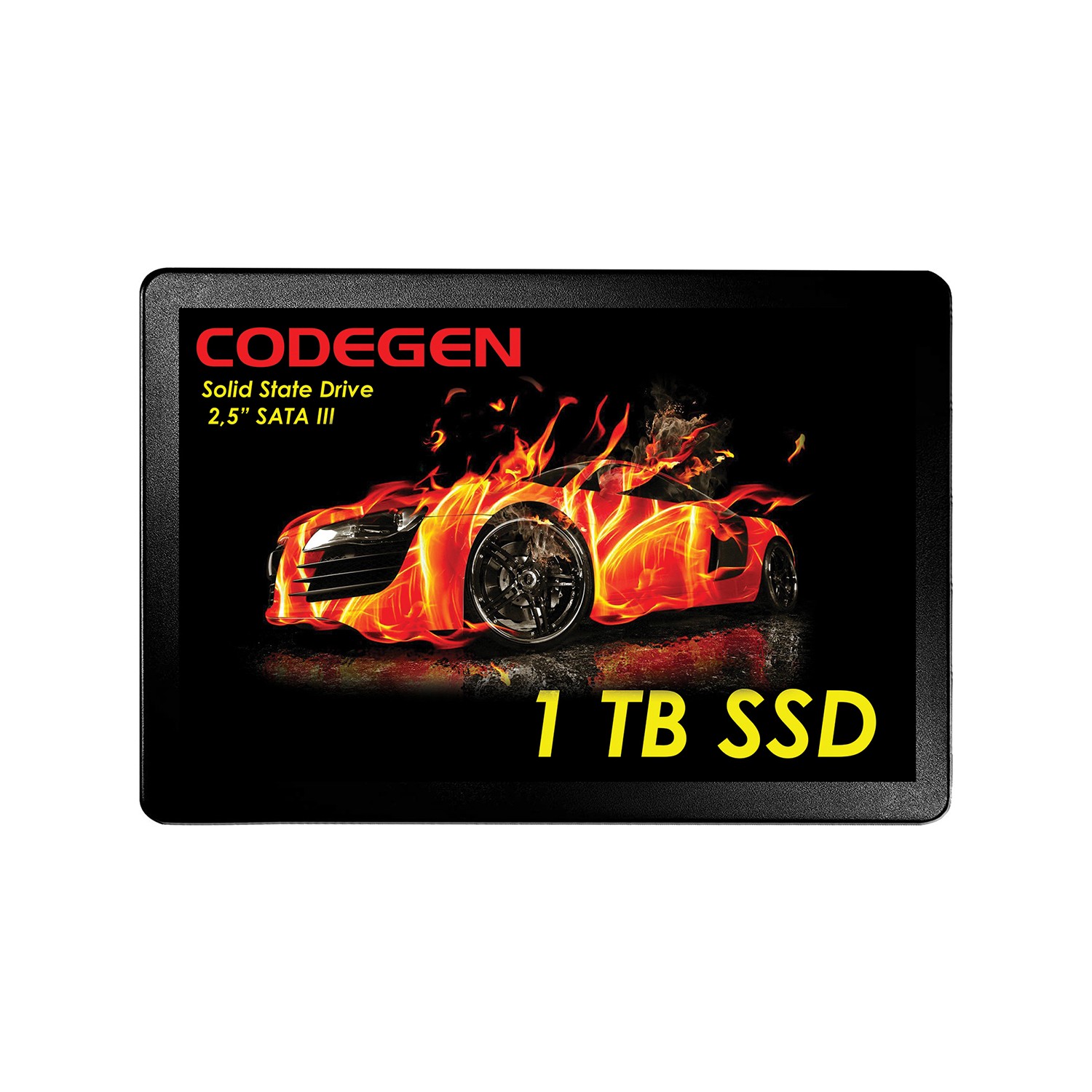 Codegen 1tb 500MB-450MB/S 2.5" Sata 3 SSD (CDG-1TB-SSD25) Fiyatı