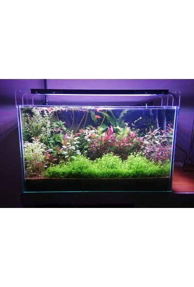 Arma Türk 60 cm 48 W Bitkili Akvaryum Armatürü