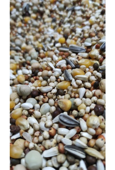 Özlem Karışık Plus Güvercin Yemi