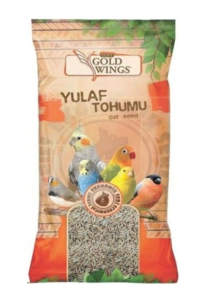 Gold Wings Yulaf Tohumu 300 gr x 2 Adet Gold Wings Yulaf Tohumu 300 gr x 2 Adet