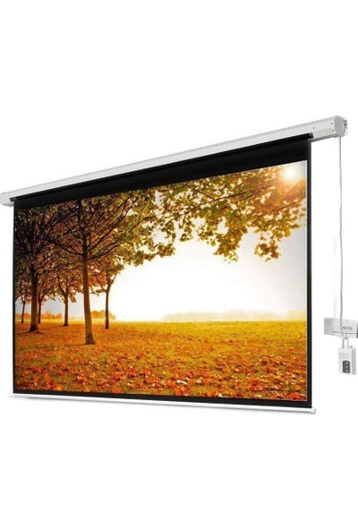 Codegen 180x180cm Cam Tozlu Motorlu Projeksiyon Perdesi Sm-18