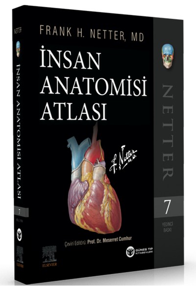 Netter Insan Anatomisi Atlası 7. Baskı