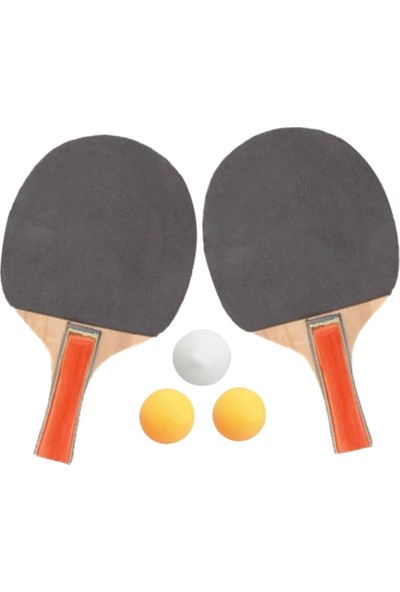 Altis Masa Tenisi Raketi MTC-100