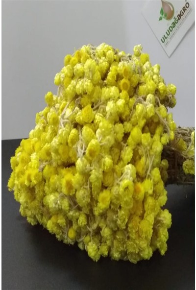 Uludağ Herbal Altınotu Demeti 100 gr