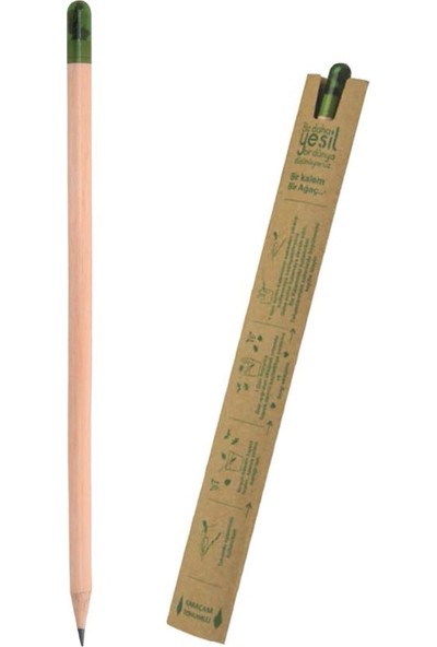 PRV Tohumlu Kurşun Kalem 10 Adet PRV Tohumlu Kurşun Kalem 10 Adet