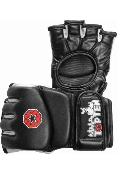 Top Ten Professional Fight Mma Eldiveni